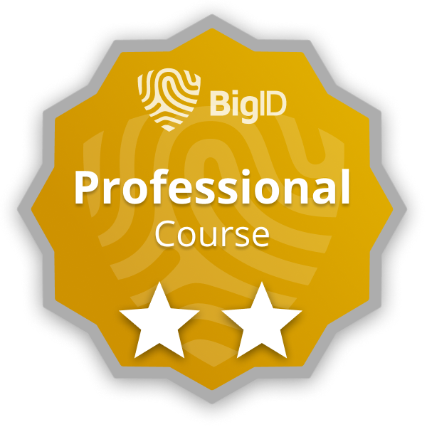 BigID University